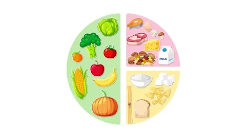 Animated Food Group Pie Chart Filling on... | Stock Video | Pond5