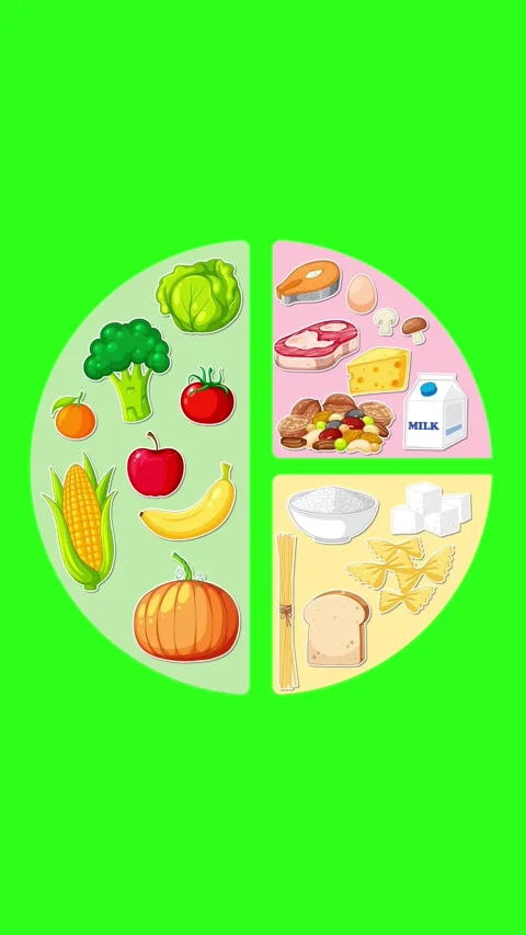 Animated Food Group Pie Chart Filling on... | Stock Video | Pond5