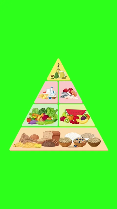 Animated Food Group Pyramid Assembles on... | Stock Video | Pond5