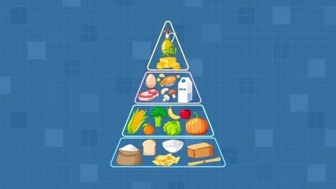 Animated Food Group Pyramid Assembles on... | Stock Video | Pond5