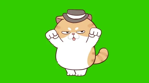 Animated Funny Cat Dancing and Shaking H... | Stock Video | Pond5