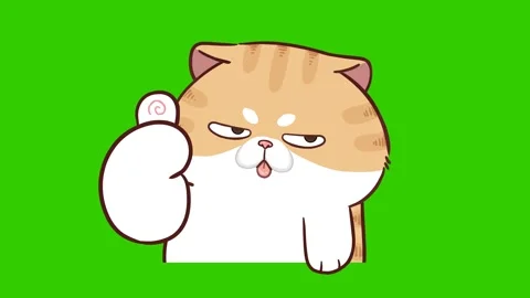 Animated Funny Cat Giving Thumbs Up - Gr... | Stock Video | Pond5