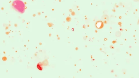 Animated glowing spheres moving chaotica... | Stock Video | Pond5