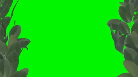 Animated Border Stock Video Footage | Royalty Free Animated Border ...