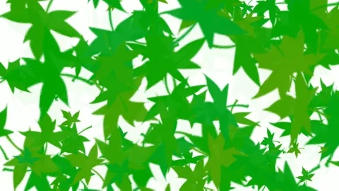animated green leaves falling on a white... | Stock Video | Pond5