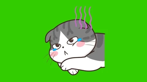 Animated Grey Cat Crying - Green Screen | Stock Video | Pond5