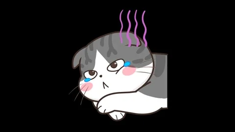 Animated Grey Cat Crying - Transparent B... | Stock Video | Pond5