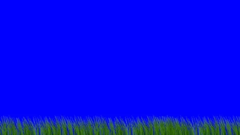 Animated growing grass green screen over... | Stock Video | Pond5