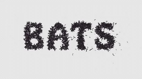 Animated Bat Stock Videos – Royalty-Free HD & 4K Videos | Page 2