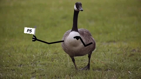 Animated hands ~ After Effects Project #231134309 | Pond5