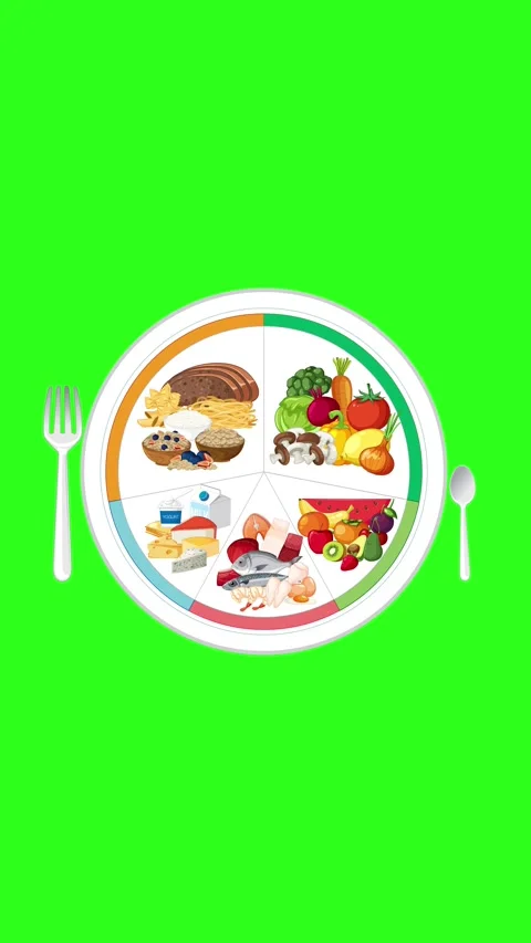 Animated Healthy Eating Plate Sections F... | Stock Video | Pond5