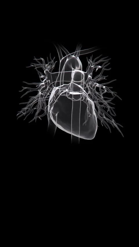 Animated Heart Vertical HQ Video | Anima... | Stock Video | Pond5