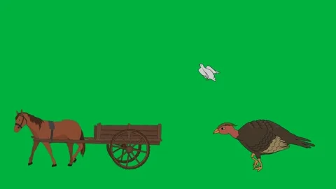 Animated horse cart and turkey on green ... | Stock Video | Pond5
