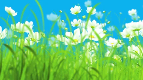 Animated Grass Stock Video Footage | Royalty Free Animated Grass Videos ...