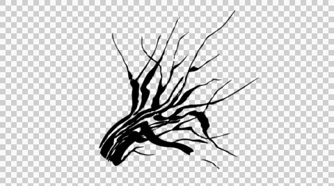 Alpha Drawings Drawings Drawings Drawings Drawings Animated Stock ...