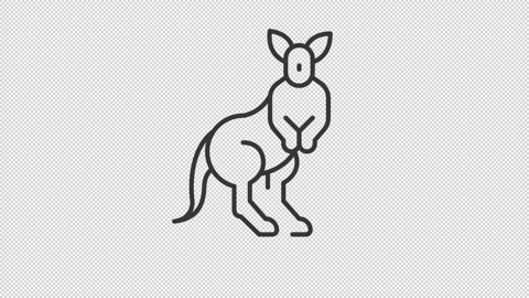 Animated Kangaroo Stock Videos – Royalty-Free HD & 4K Videos | Pond5