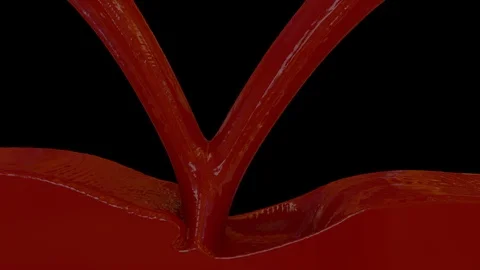 Animated ketchup pouring rapidly filling... | Stock Video | Pond5