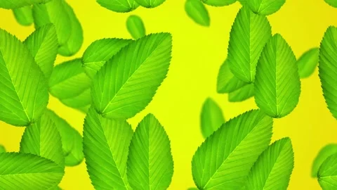Animated leaf pattern background on yell... | Stock Video | Pond5