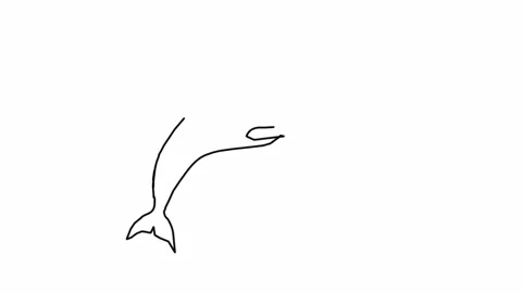 Animated line self-drawing drawing of a ... | Stock Video | Pond5