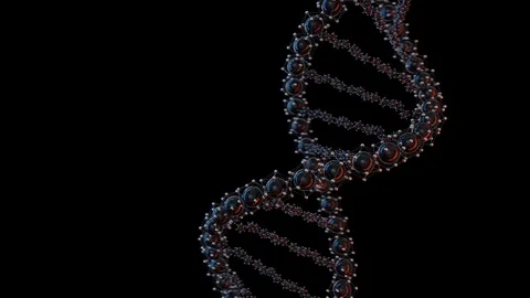 Animated looped DNA chain model. 3D rend... | Stock Video | Pond5