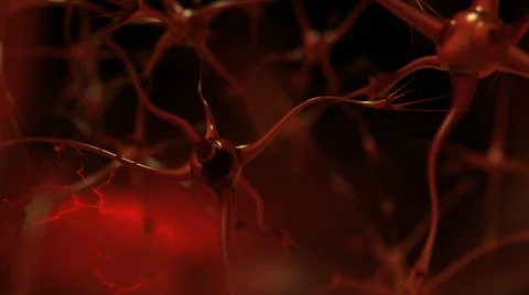 Neurons Firing Stock Video Footage | Royalty Free Neurons Firing Videos ...