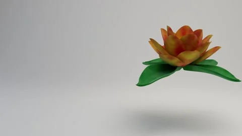 Animated lotus flower blooms on a solid ... | Stock Video | Pond5
