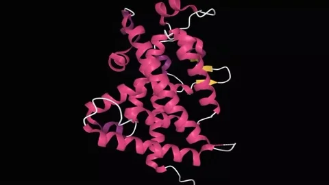 Animated model of the tertiary structure... | Stock Video | Pond5