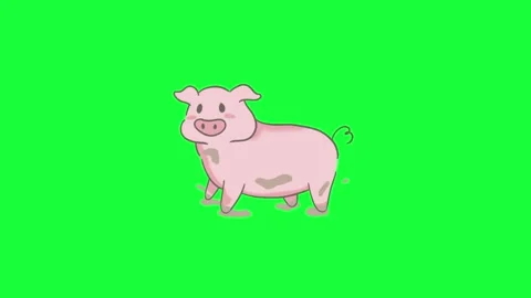 Animated Muddy Pig icon background anima... | Stock Video | Pond5