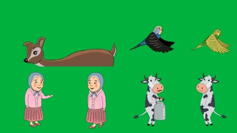 Old Women Template Stock Videos – Royalty-Free HD & 4K Videos | Pond5