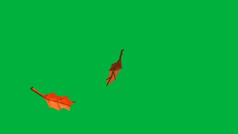 Bird Flying Asset Stock Videos – Royalty-Free HD & 4K Videos