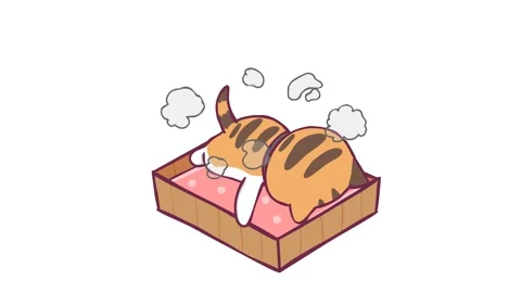 Orange Cat White Background Stock Footage ~ Royalty Free Stock Videos ...