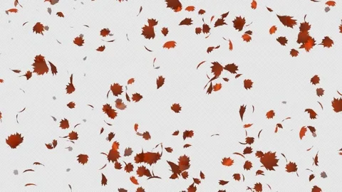 Animated Orange maple leaves with Alpha ... | Stock Video | Pond5