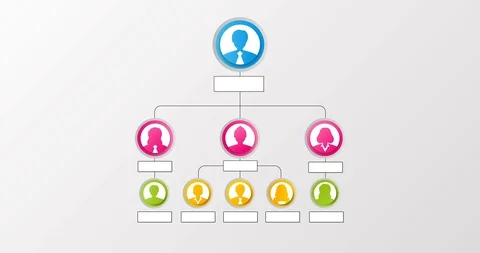 Animated Organization Chart | Stock Video | Pond5