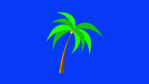 Animated palm tree on a green screen for... | Stock Video | Pond5