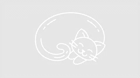 Sleeping Cat Drawing Stock Videos – Royalty-Free HD & 4K Videos