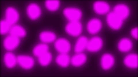 Animated pink color fluid bubble backgro... | Stock Video | Pond5