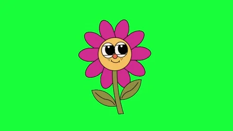 Animated Pink Flower Motion icon backgro... | Stock Video | Pond5