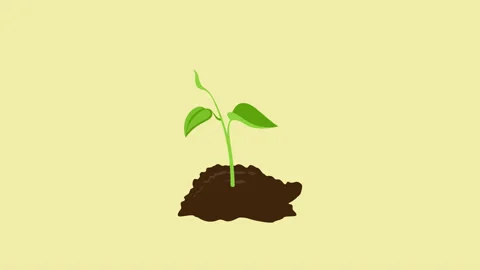 animated plant growing. Animated Icon to... | Stock Video | Pond5