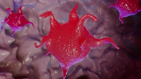 Animated Platelets, blood cell, 3d rend... | Stock Video | Pond5