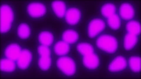 Animated purple color fluid bubble backg... | Stock Video | Pond5