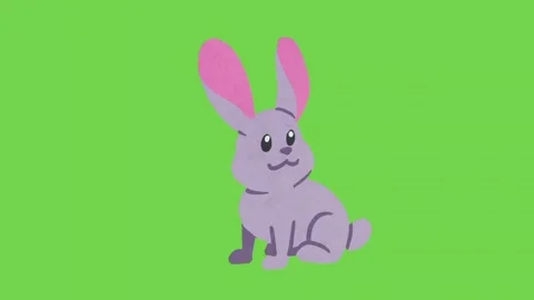 animated rabbit character isolated on gr... | Stock Video | Pond5