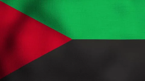 Animated realistic national flag realist... | Stock Video | Pond5