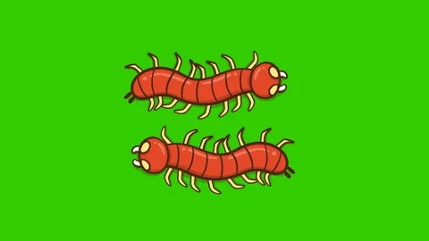 Animated Red Centipede Running - Green S... | Stock Video | Pond5