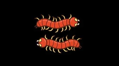 Animated Red Centipede Running - Transpa... | Stock Video | Pond5