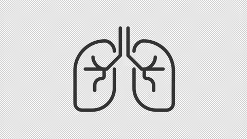 Animated respiratory linear icon | Stock Video | Pond5