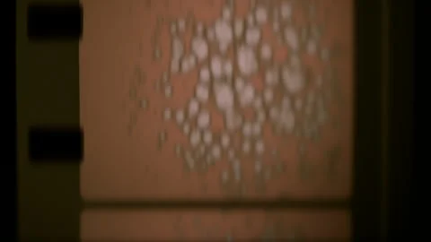 Animated Roll Film Burn Background Textu... | Stock Video | Pond5