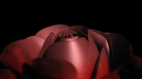 Animated Rose Background *loop* | Stock Video | Pond5