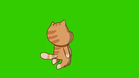 Animated Sad Kneeling Cat Green Screen | Stock Video | Pond5