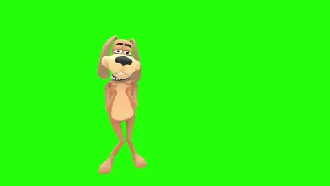 Cartoon Scared Dog Stock Videos – Royalty-Free HD & 4K Videos