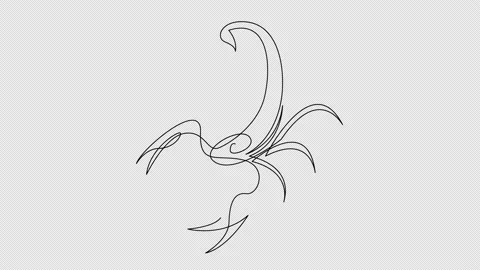 Animated self drawing of continuous line... | Stock Video | Pond5